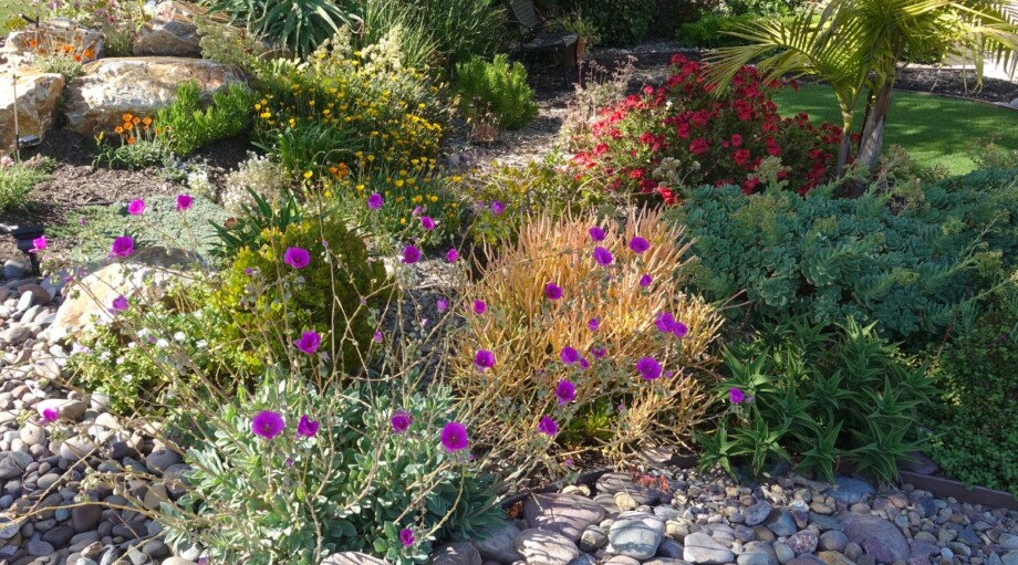 9 Ways to Help Your Garden Through Summer Drought