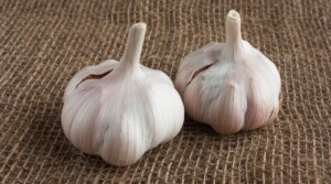 13 Varieties of Garlic to Plant This Fall