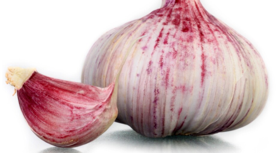13 Varieties of Garlic to Plant This Fall