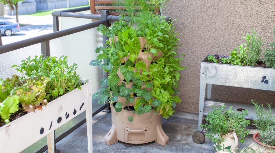 7 Ways to Maximize Your Balcony Garden Space