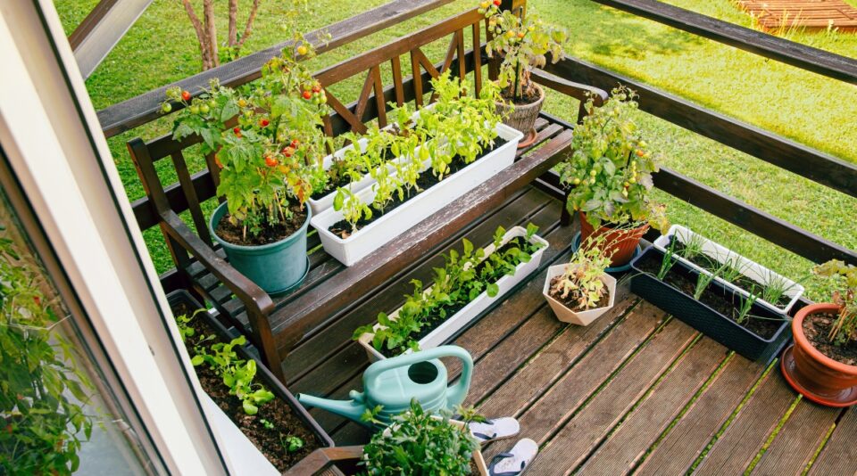 7 Ways to Maximize Your Balcony Garden Space