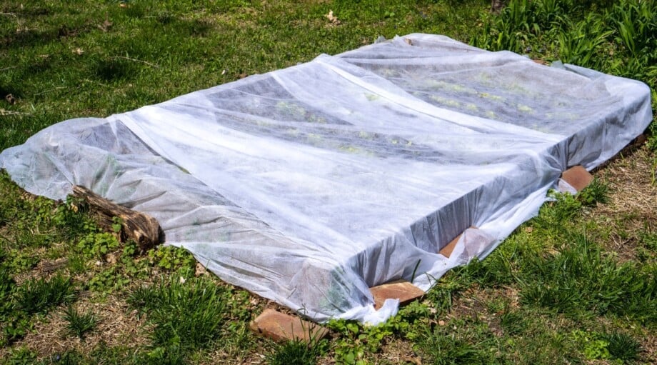 11 Amazing Uses For Row Cover in Your Garden