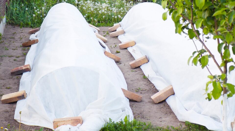 9 Tips for Putting Your Fall Garden to Bed