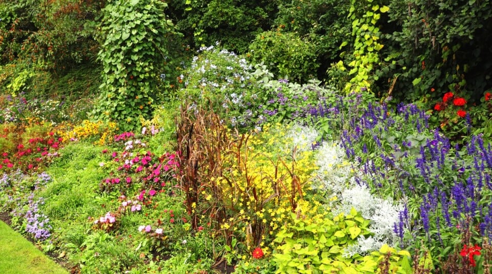 How to Design Your Landscape for Ultimate Fall Color