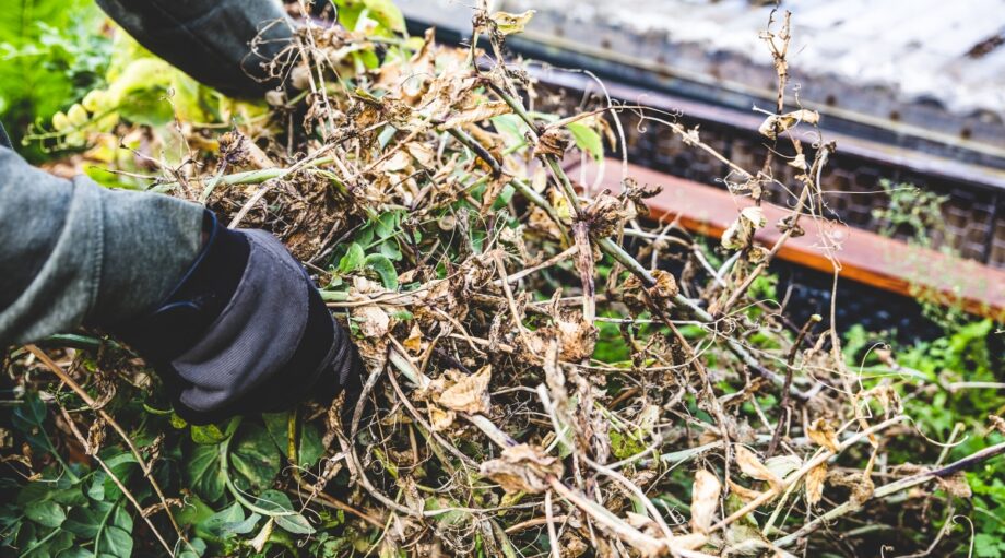 9 Tips for Putting Your Fall Garden to Bed