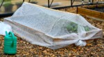 11 Amazing Uses For Row Cover in Your Garden
