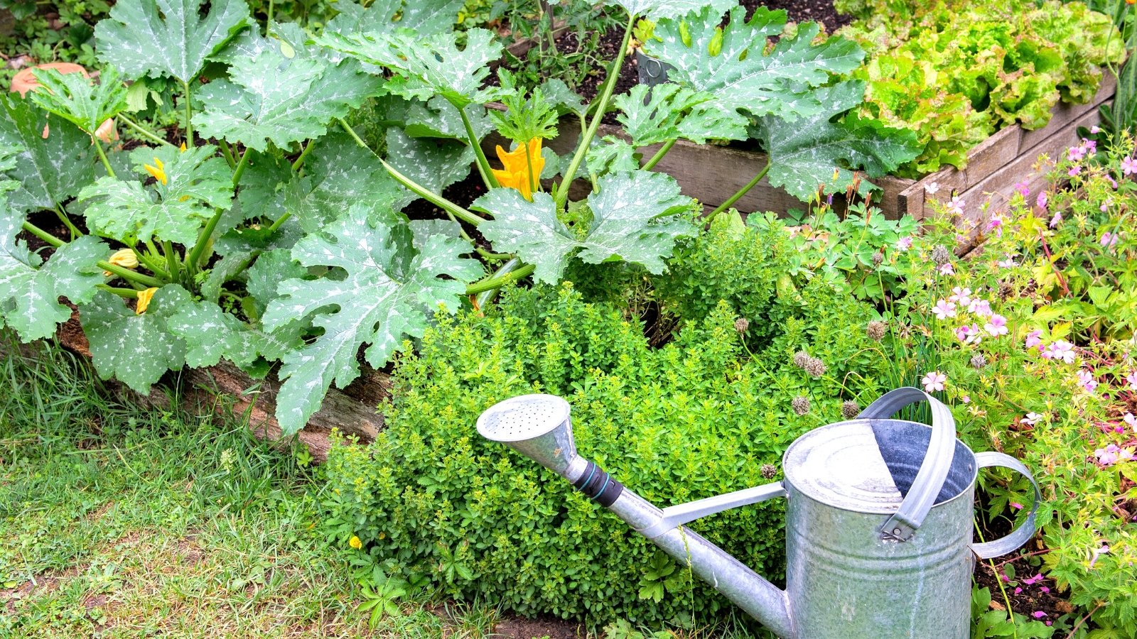 Companion Planting Gone Wrong: 21 Planting Combinations to Avoid