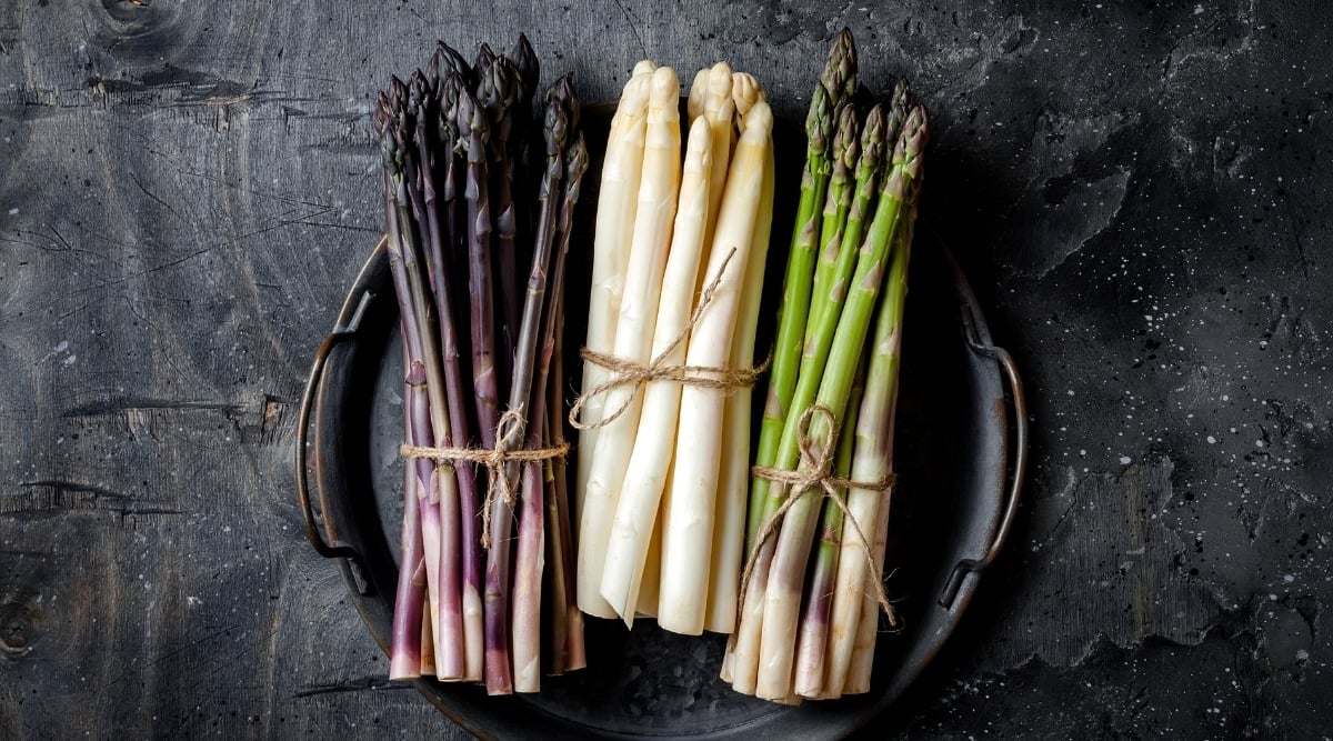 Asparagus Types: 15 Asparagus Varieties To Grow in Your Garden