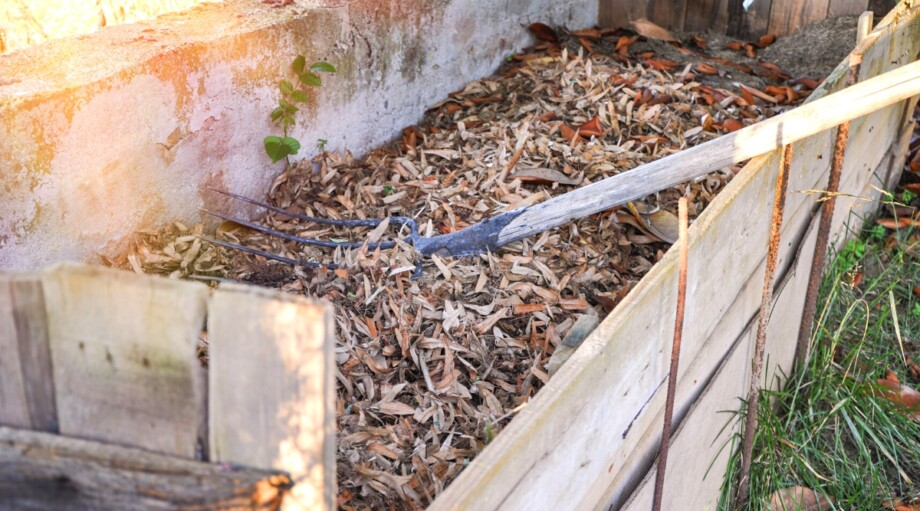 How to Feed Your Soil in the Fall in 10 Easy Steps