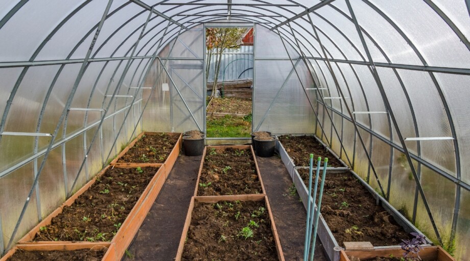 9 Benefits of Growing in High Tunnels