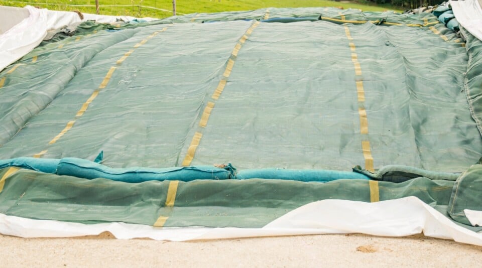 How Do You Control Plants that Spread by Rhizomes?