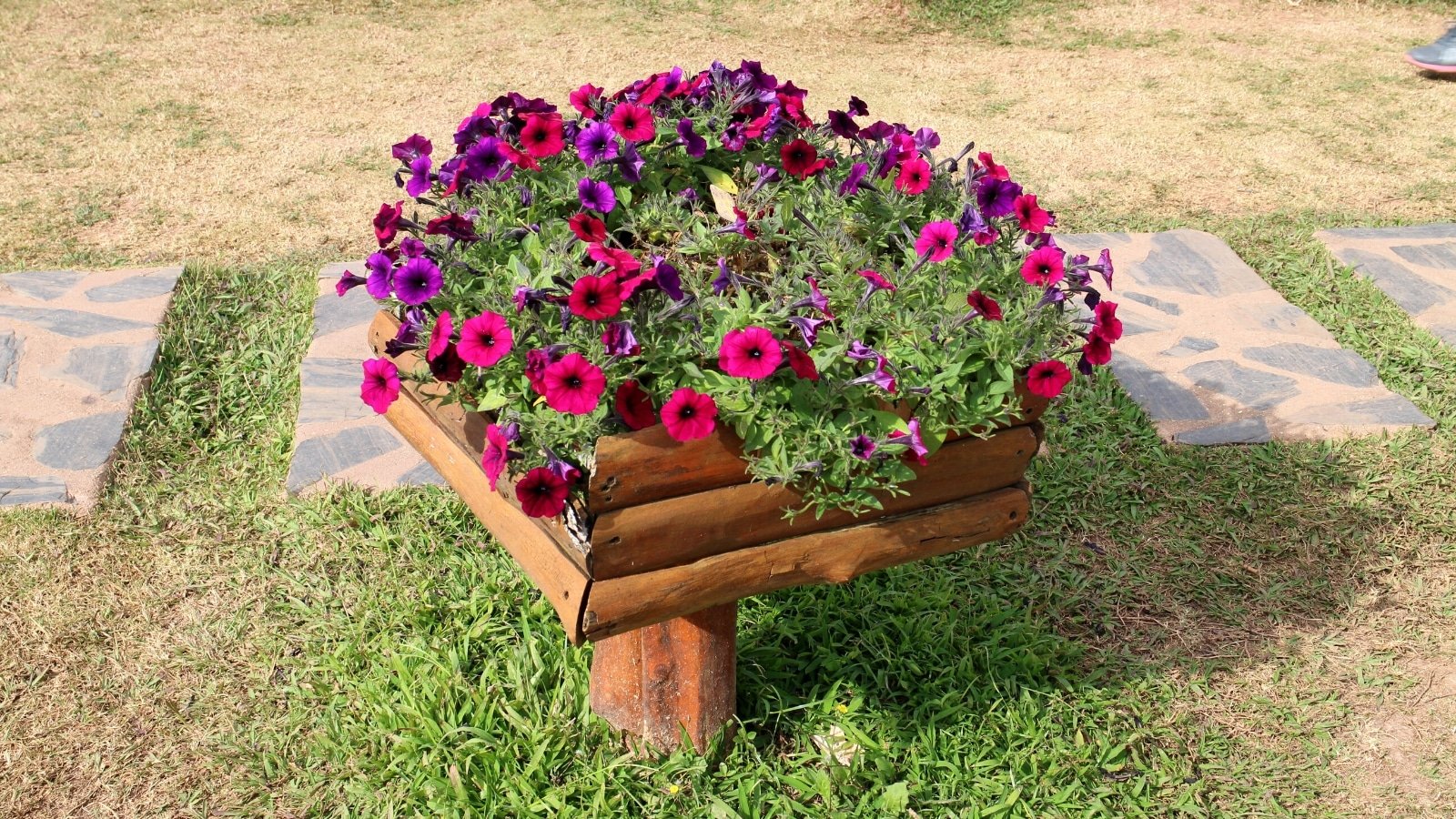 27 Unique Flower Bed Ideas for Your Garden