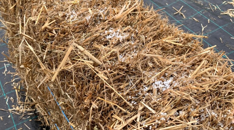 11 Tips for Starting a Strawbale Garden
