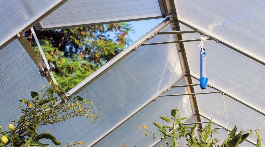 7 Things To Know Before Buying A Greenhouse