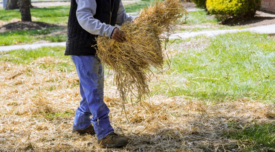 11 Tips for Starting a Strawbale Garden