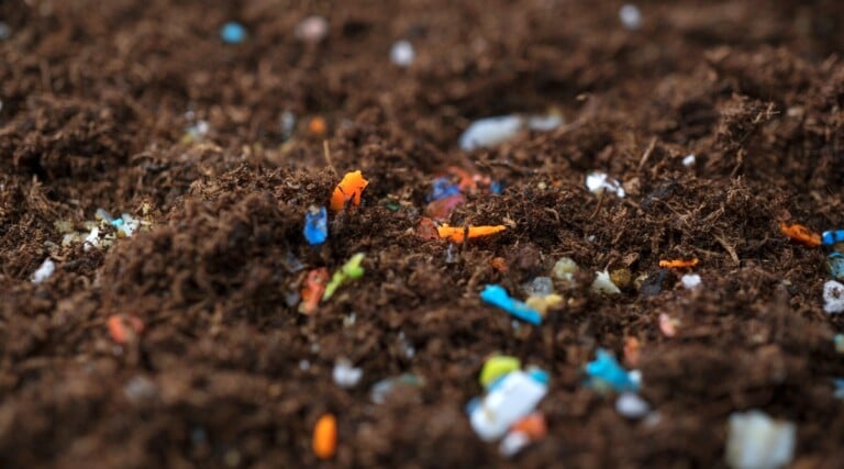 18 Pros and Cons of Using Plastic Mulch in the Garden