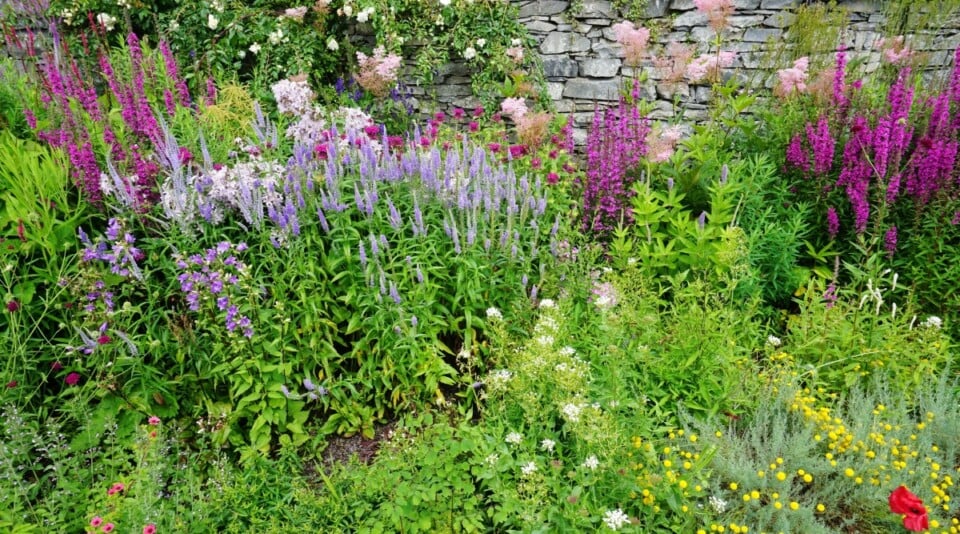 How to Create A Cottage Garden
