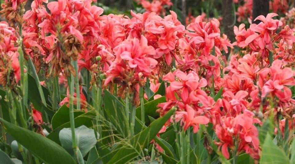 7 Common Gardening Habits You Should Leave Behind