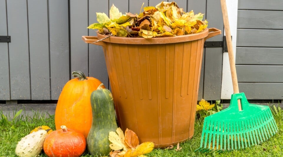 7 Fall Cleanup Steps You Can Skip This Year