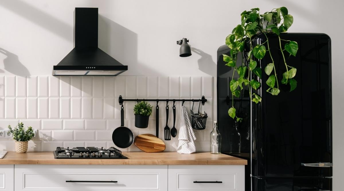 21 Houseplants That Can Live on Top of Your Fridge