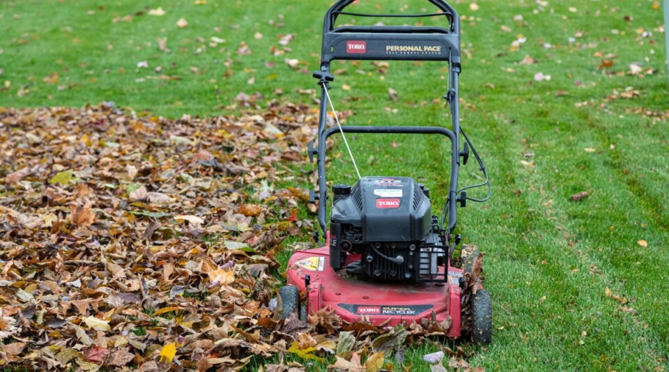7 Fall Cleanup Steps You Can Skip This Year