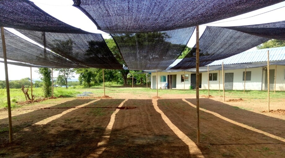 Does Shade Cloth Actually Work in the Garden?
