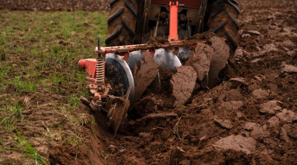 11 Benefits of No-Till Gardening