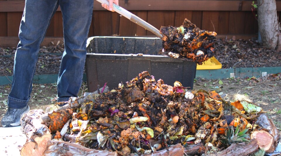 How to Feed Your Soil in the Fall in 10 Easy Steps