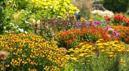11 Tips for a Native Garden with Curb Appeal