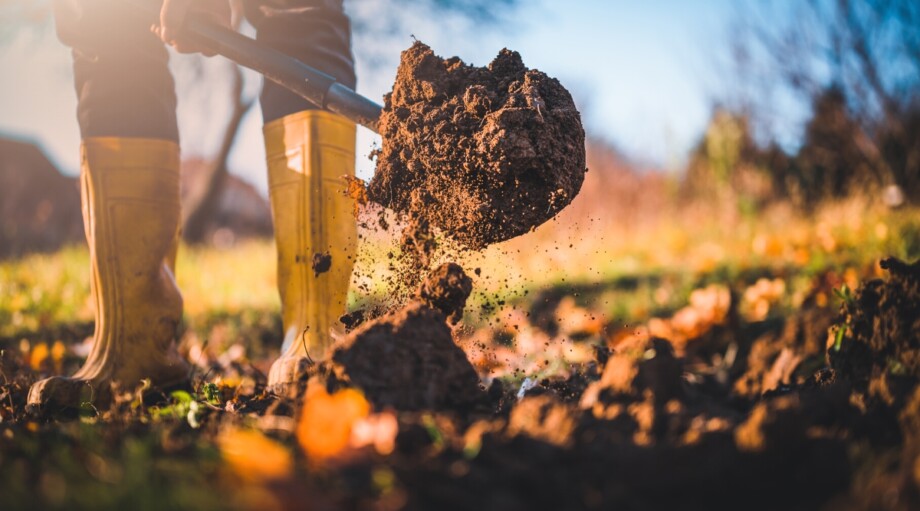 How to Feed Your Soil in the Fall in 10 Easy Steps