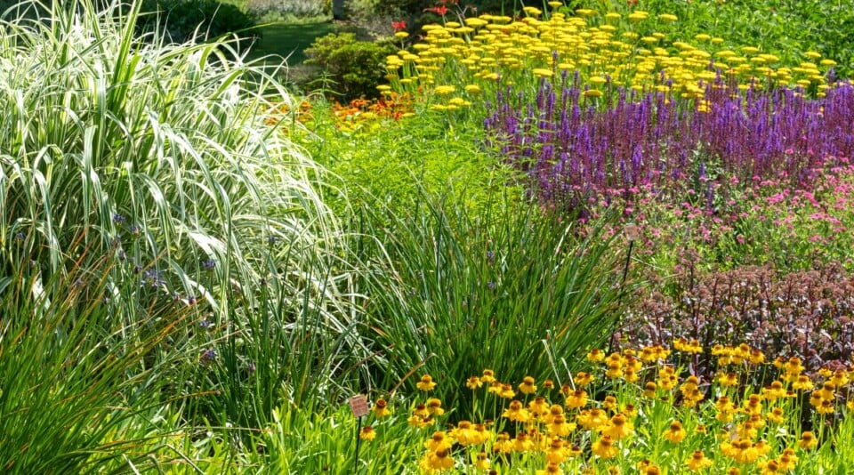 What's My Garden Style?