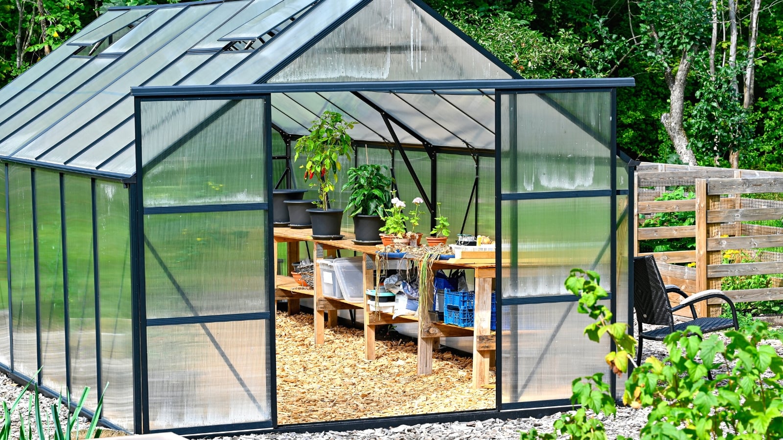 Repurposed Door Greenhouse Homemade Greenhouse! — Steemit