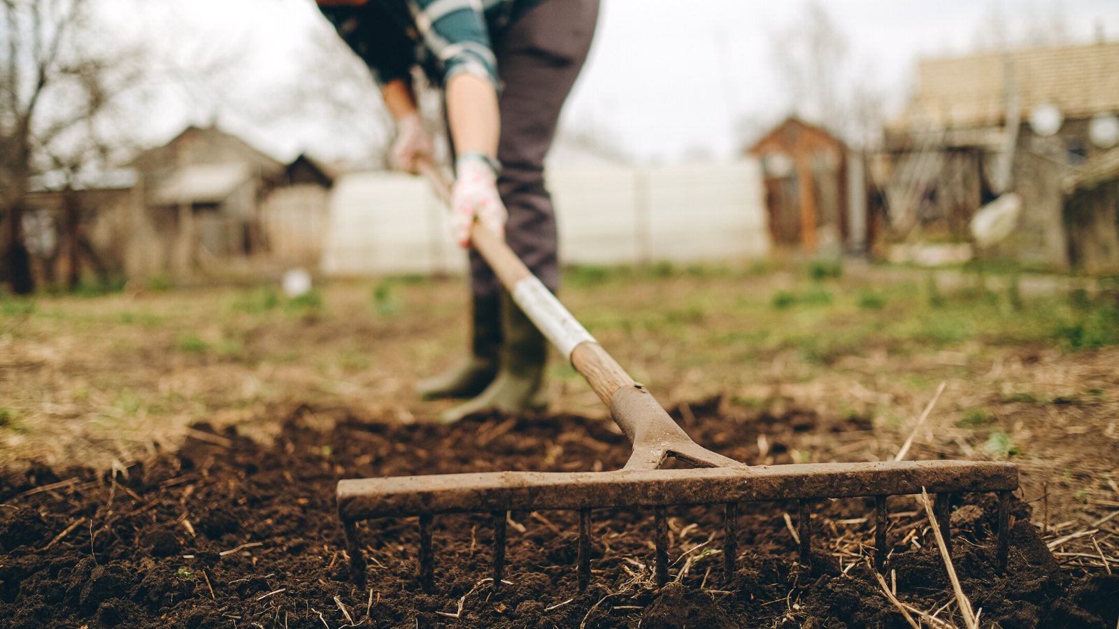 How to Transition to a No-Till Garden