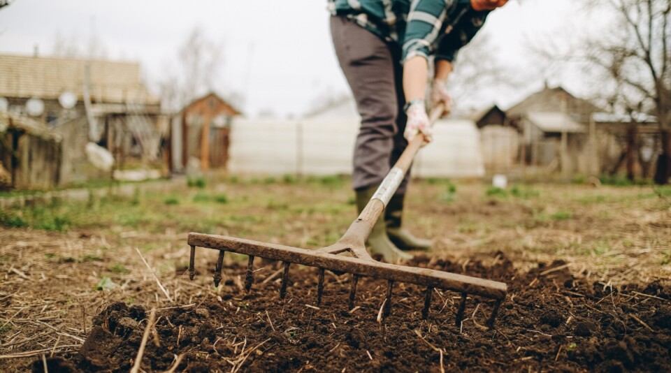 How to Feed Your Soil in the Fall in 10 Easy Steps