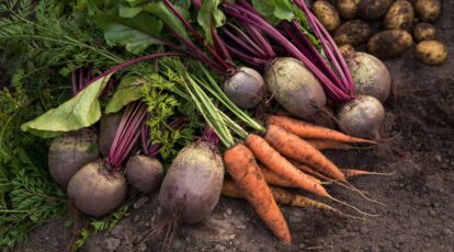 11 Ways to Give Your Fall Leaves a Second Life