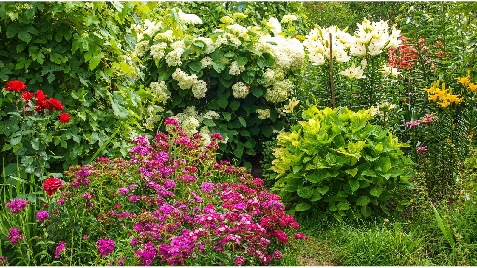 The 23 Best Flowers for Drying: Beautiful, Long-lasting Decor