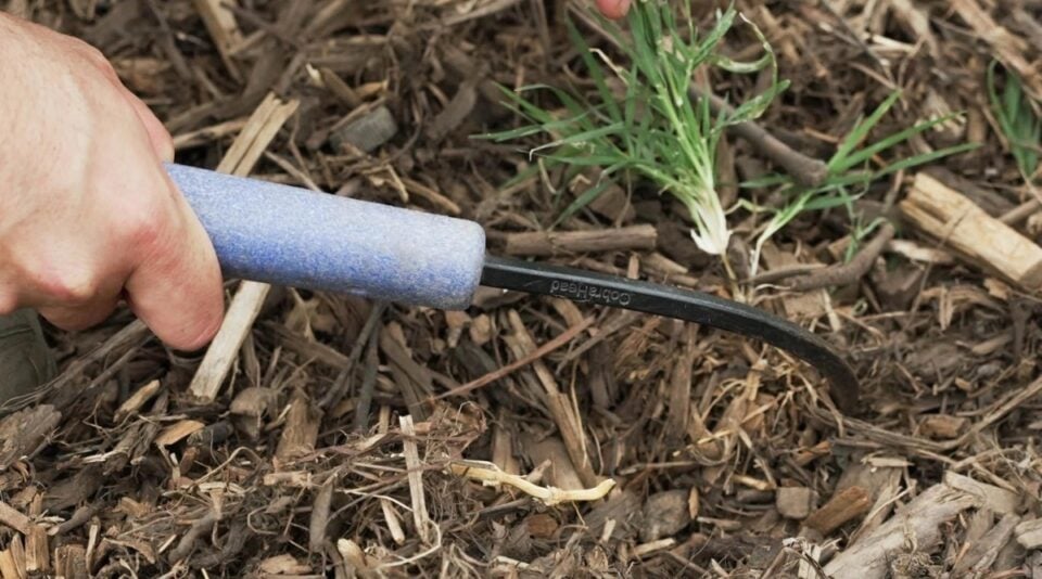 Adaptive Gardening: 25 Tips to Keep You Gardening As You Age