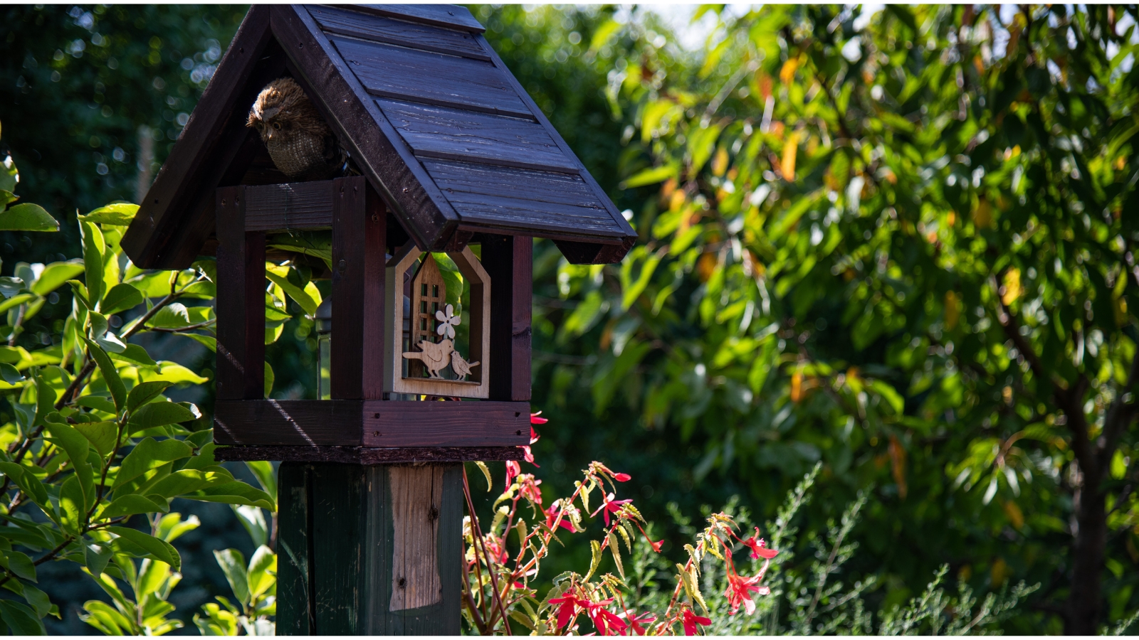 17 Tips for a Bird-Friendly Garden