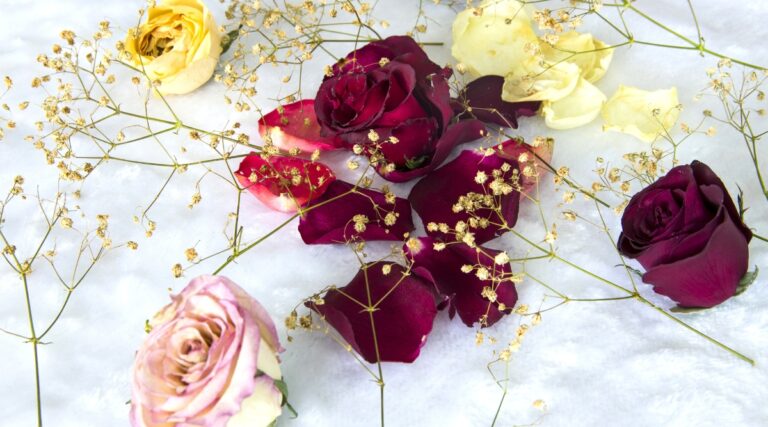 How To Dry Flowers: 7 Methods for Beautiful Dried Blooms
