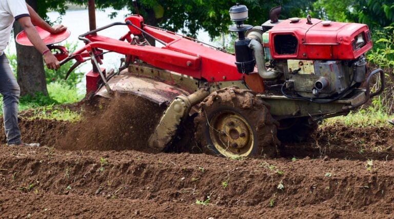 10 Tips For Preventing Soil Erosion in Your Garden