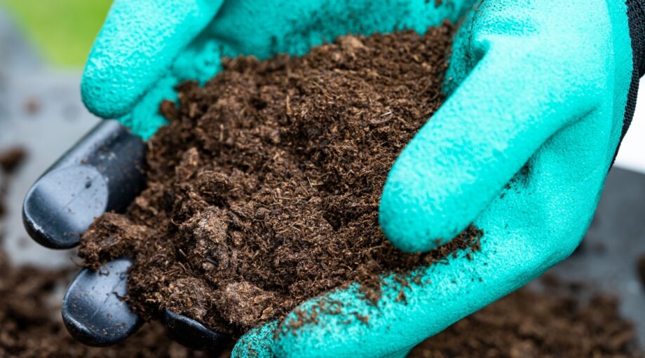 10 Tips For Preventing Soil Erosion in Your Garden