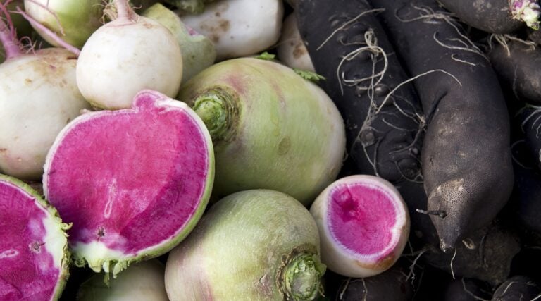 27 Unusual and Rare Vegetables to Grow This Season