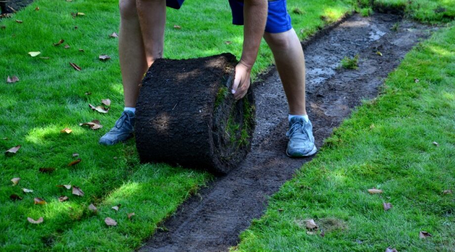 How to Get Rid of Your Lawn: Say Goodbye to Grass