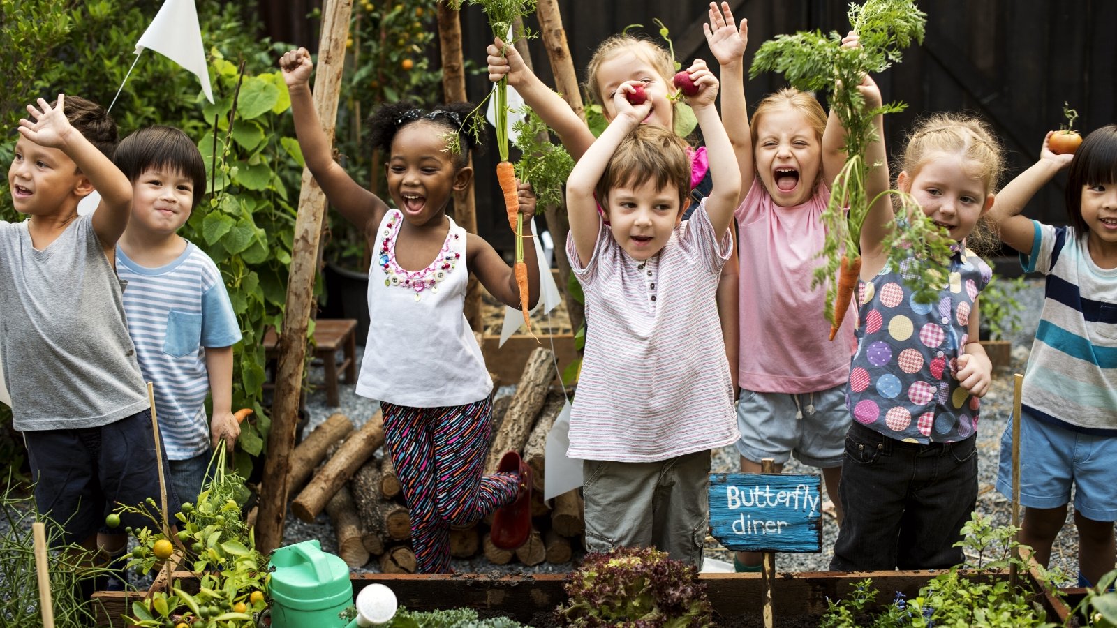 17 Plants Kids Love To Grow From Seed