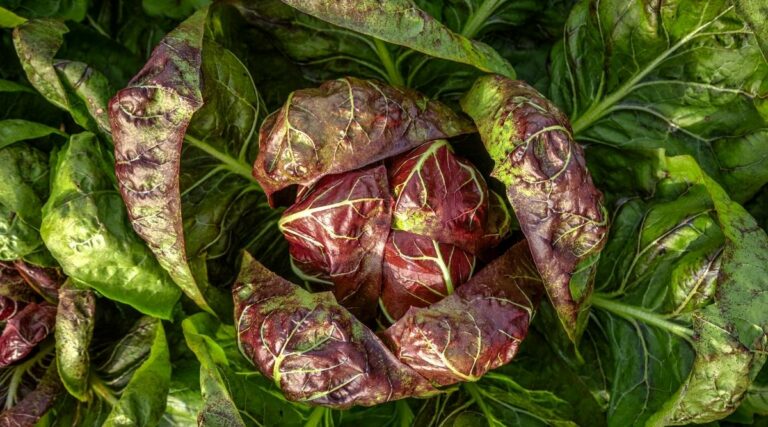 15 Cold-Season Vegetables That Get Sweeter After a Frost