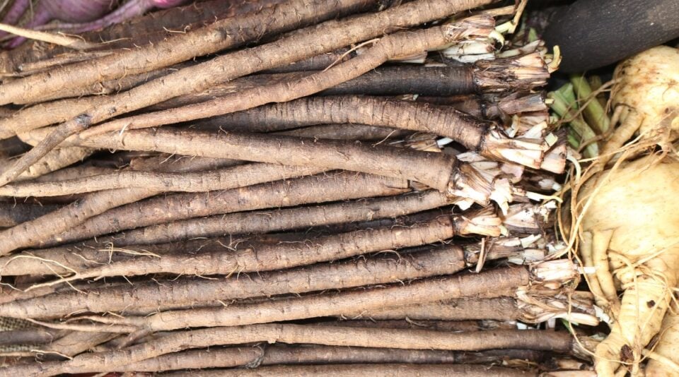 27 Unusual and Rare Vegetables to Grow This Season