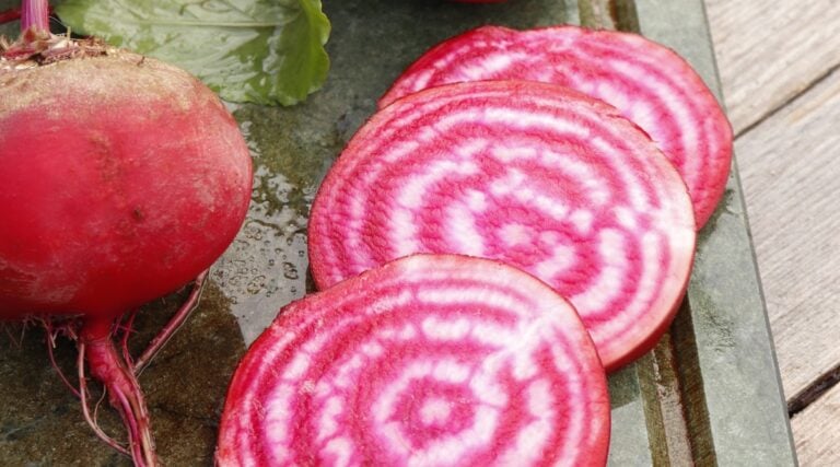 27 Unusual and Rare Vegetables to Grow This Season