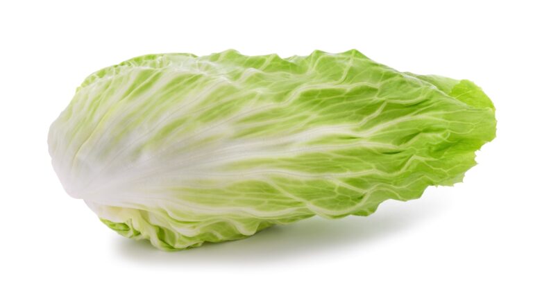9 Delicious Radicchio Varieties You Can Grow