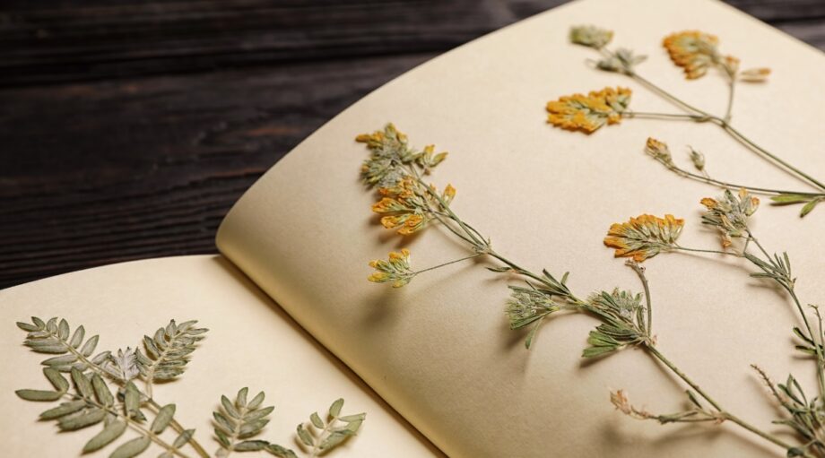 How To Dry Flowers: 7 Methods for Beautiful Dried Blooms