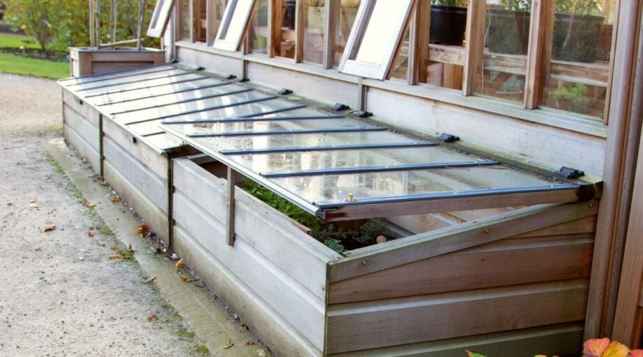 9 Tips for Growing Vegetables in a Cold Frame